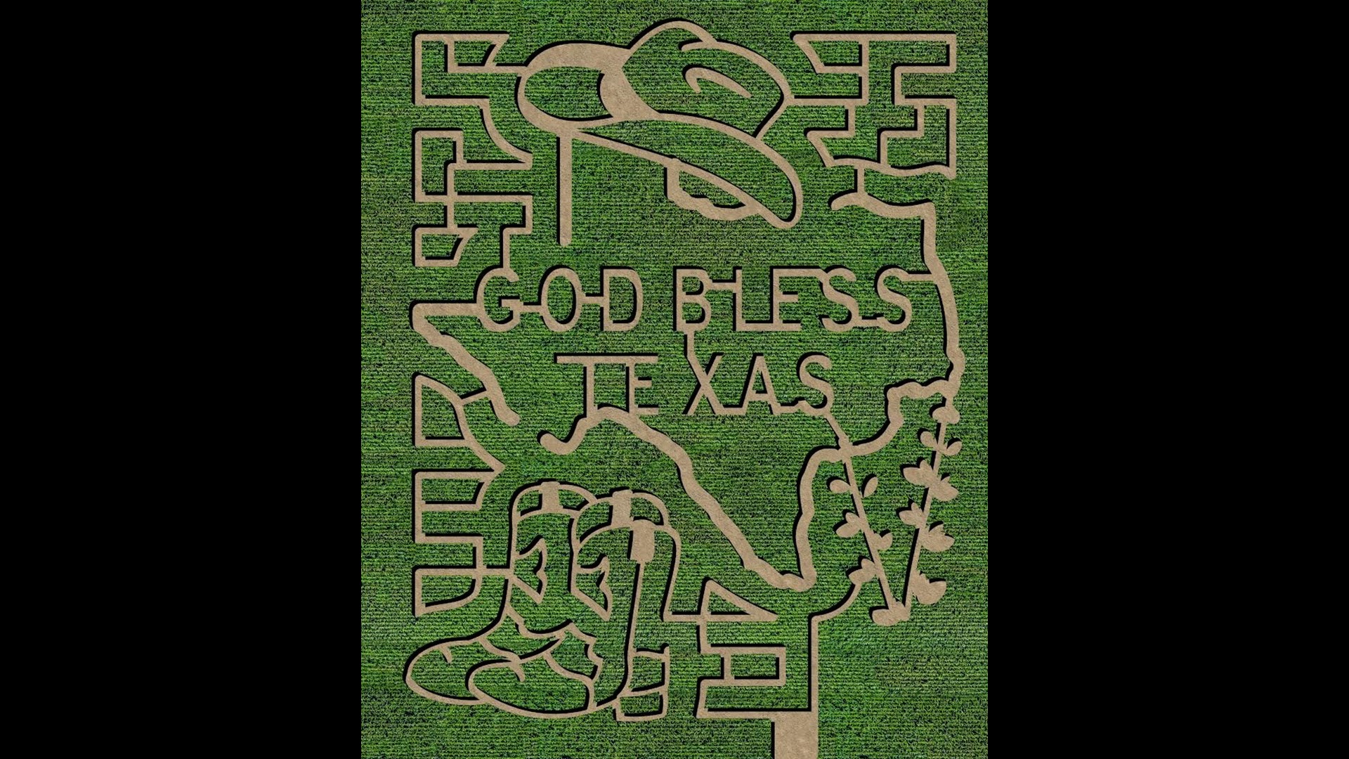 Rockin' K Farms corn maze design revealed | kiiitv.com