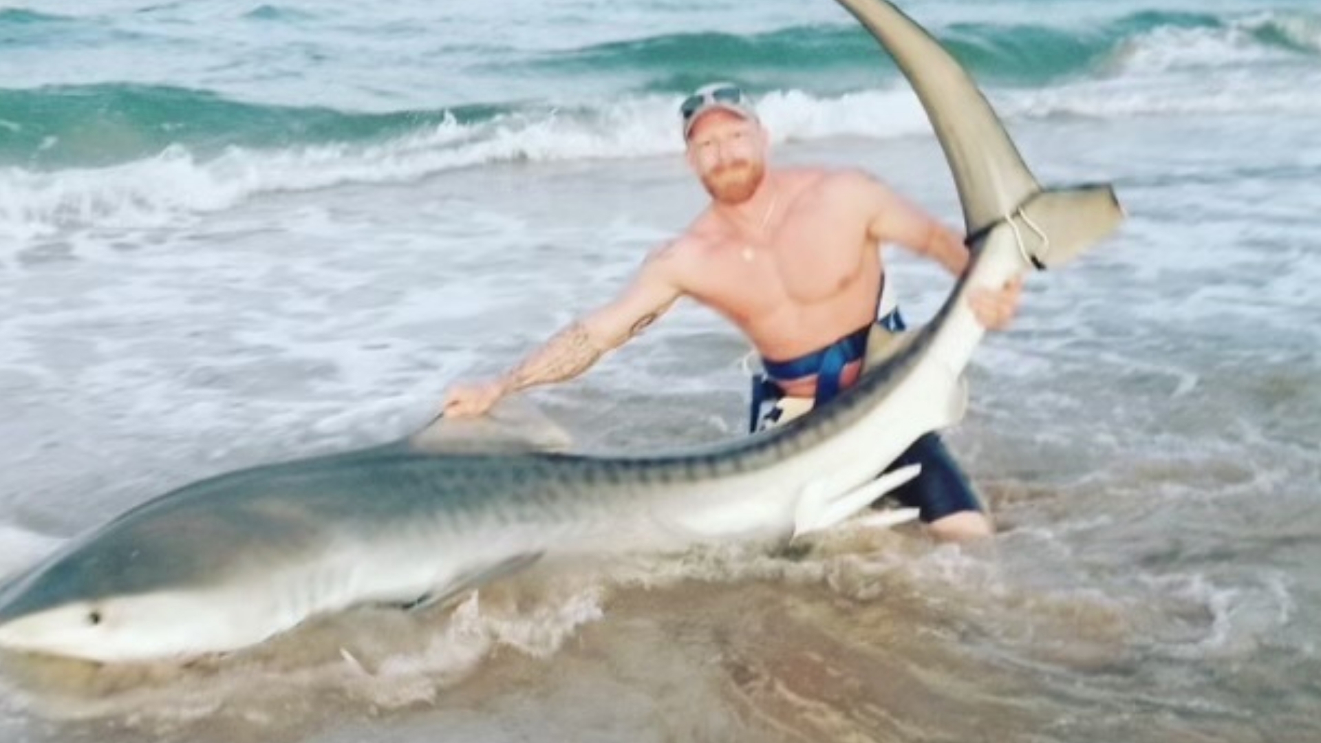 Texas angler catches, releases giant shark in Corpus Christi | kiiitv.com