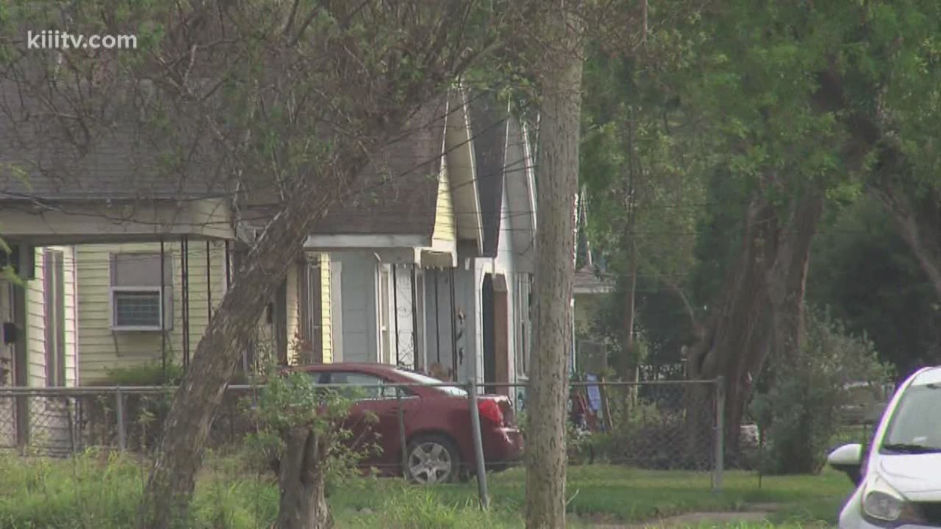 Watch | KIII Live and On-Demand Videos | Corpus Christi, Texas | kiiitv.com