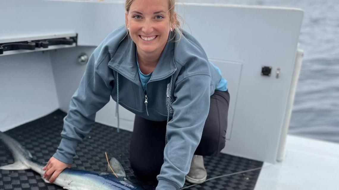 Researcher to appear in Shark Week on the Discovery Channel | kiiitv.com