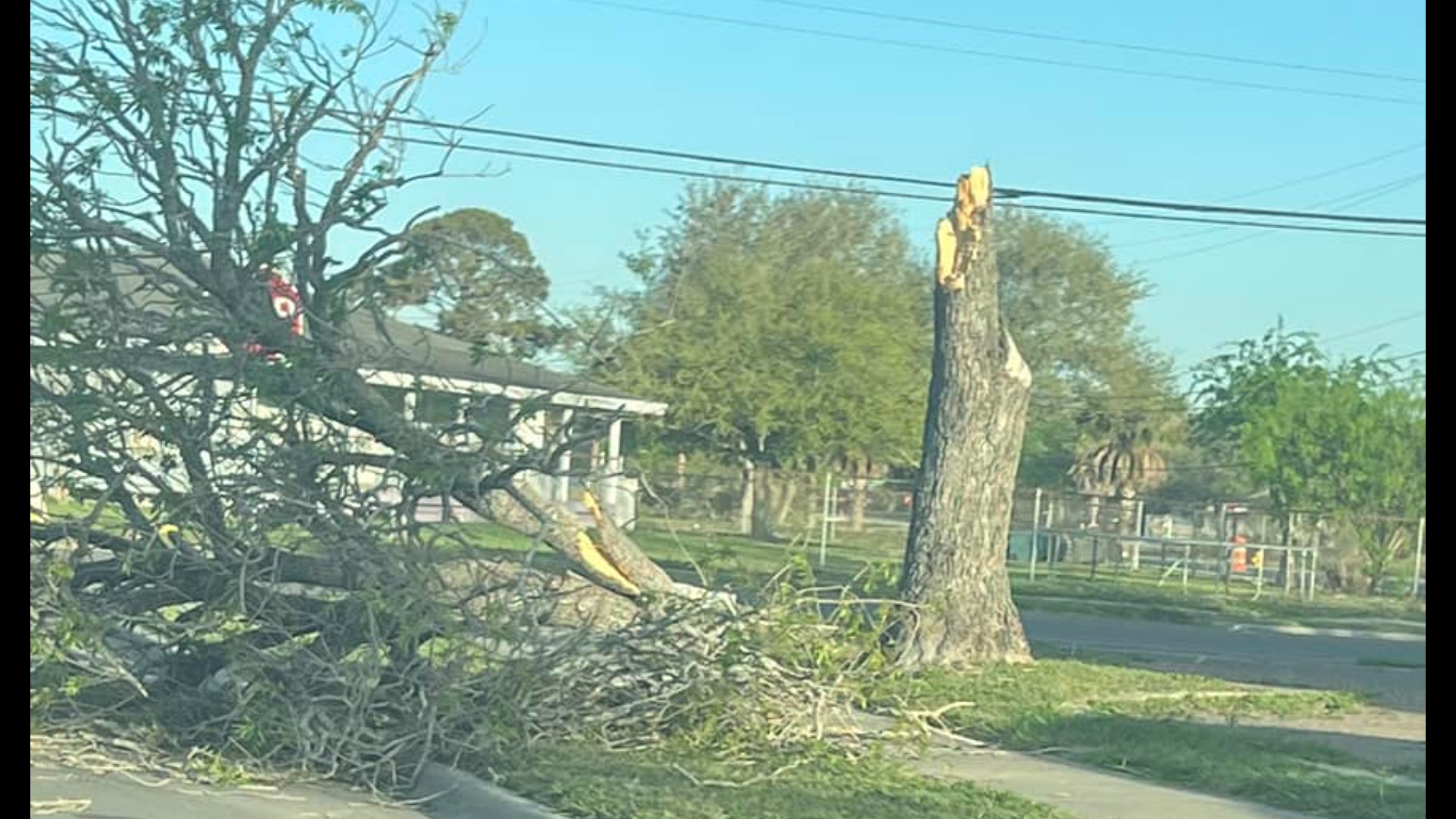 Wind damage photos in Corpus Christi area | kiiitv.com