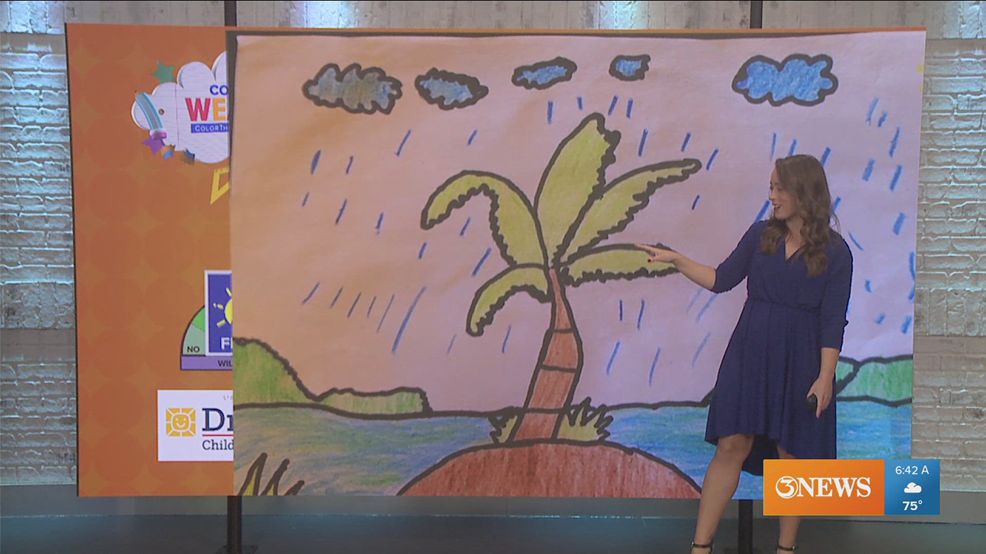 'Good vibes and palm trees' as we Color the Weather on this rainy day with Meteorologist Carly ...