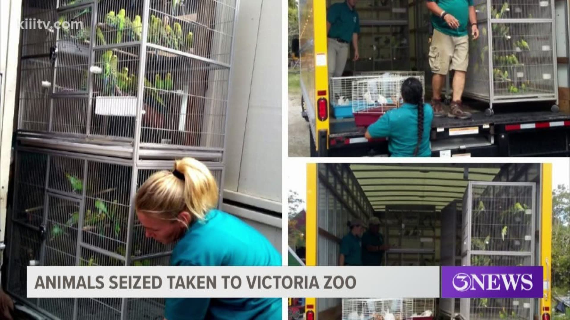 Animal seized from Corpus Christi Trade Center relocated to Victoria ...