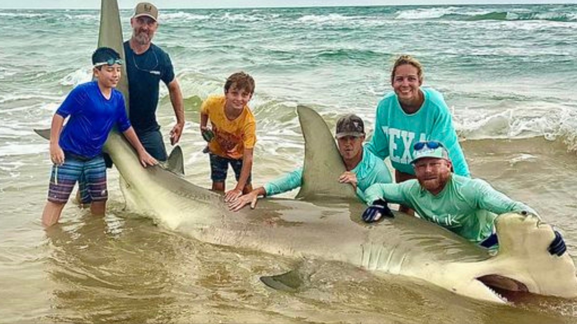 Texas angler catches, releases giant shark in Corpus Christi | kiiitv.com