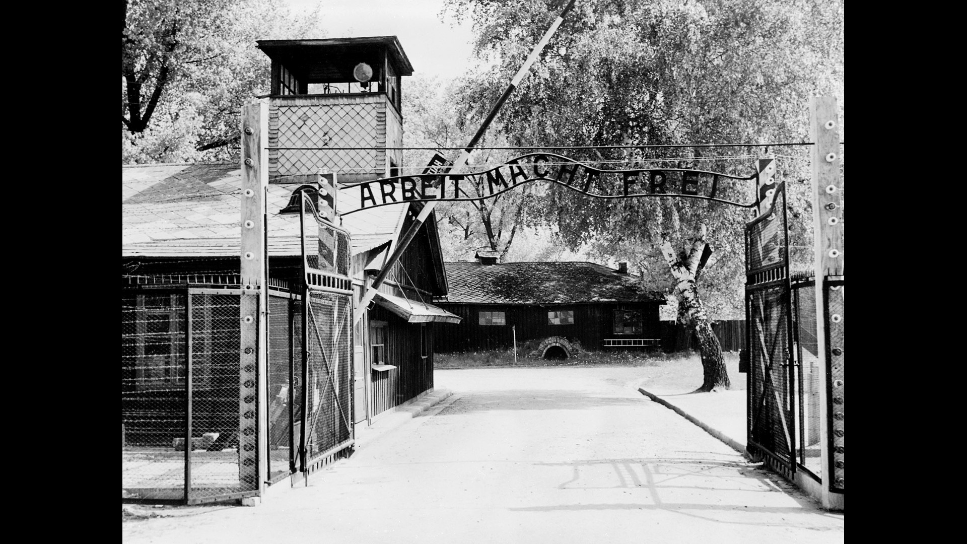 Exploring the complexities of forgiveness on Holocaust Memorial Day ...