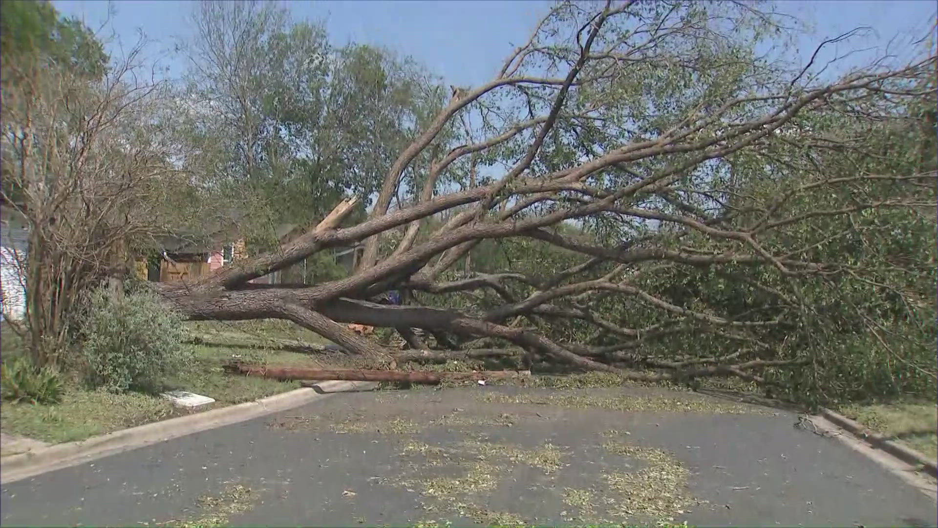 Austin storm damage: Severe weather leaves path of destruction | kiiitv.com