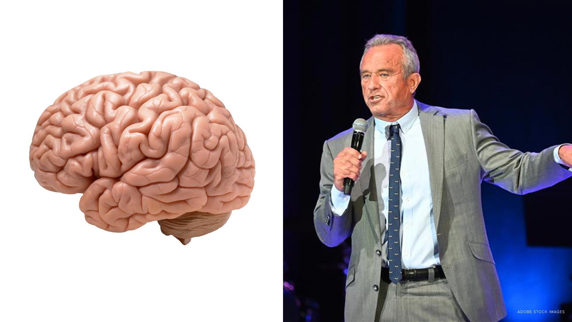 How does a worm get into your brain? Here’s what to know | kiiitv.com