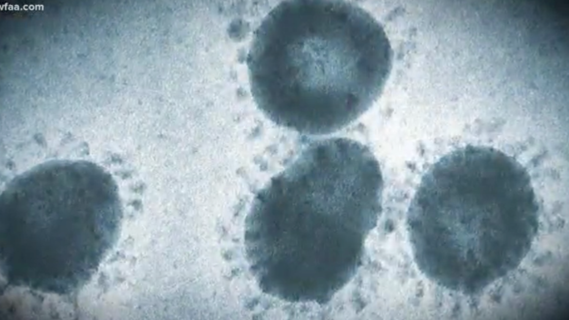 What you need to know about new coronavirus strain from Wuhan | kiiitv.com