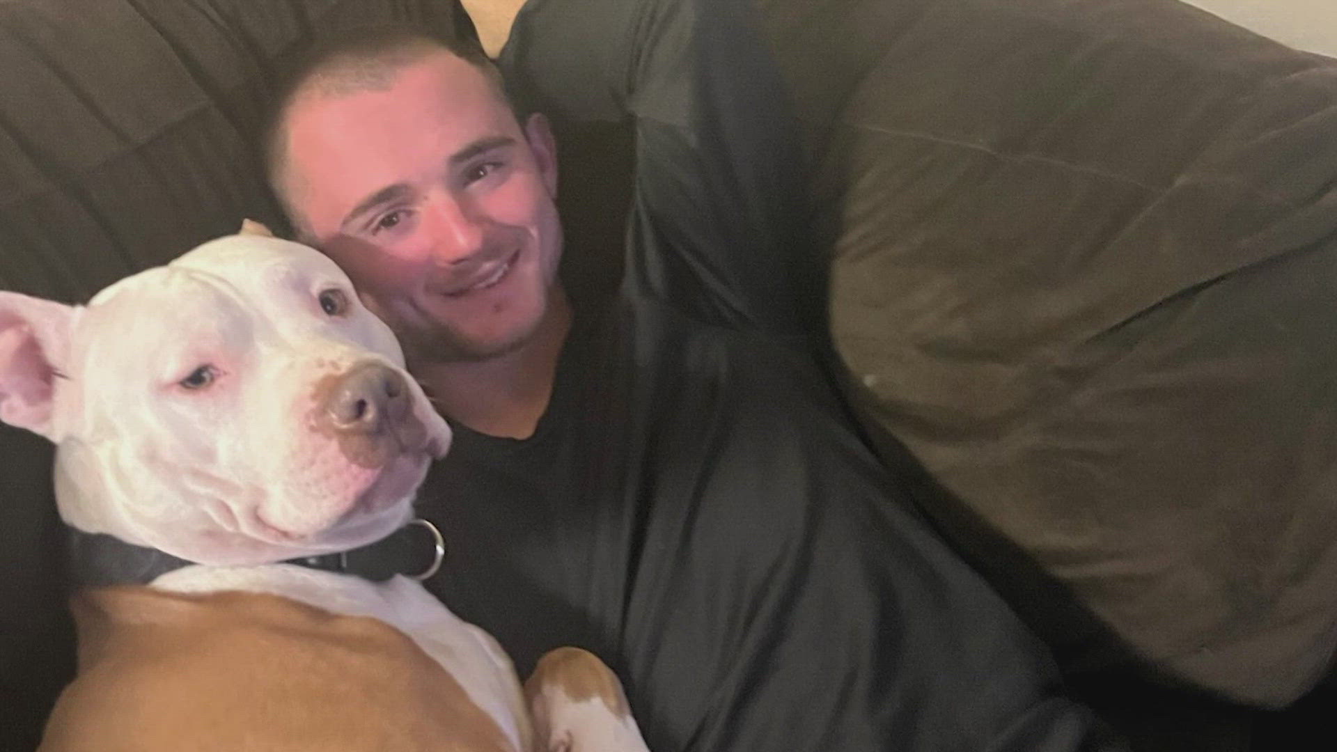 20-year-old killed trimming tree in Arlington | kiiitv.com