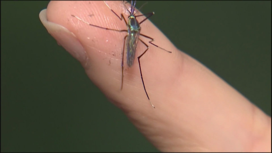 Collin County: First death caused by West Nile announced | kiiitv.com