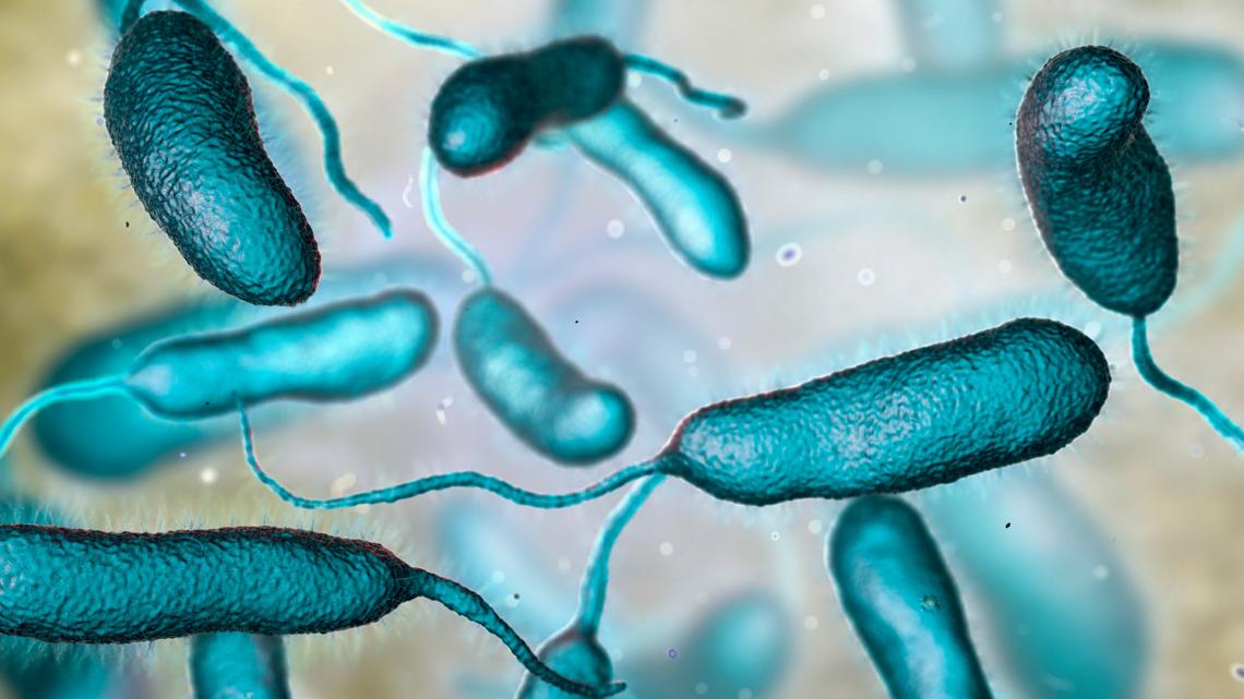 Florida health leaders monitoring cases of flesh-eating bacteria ...