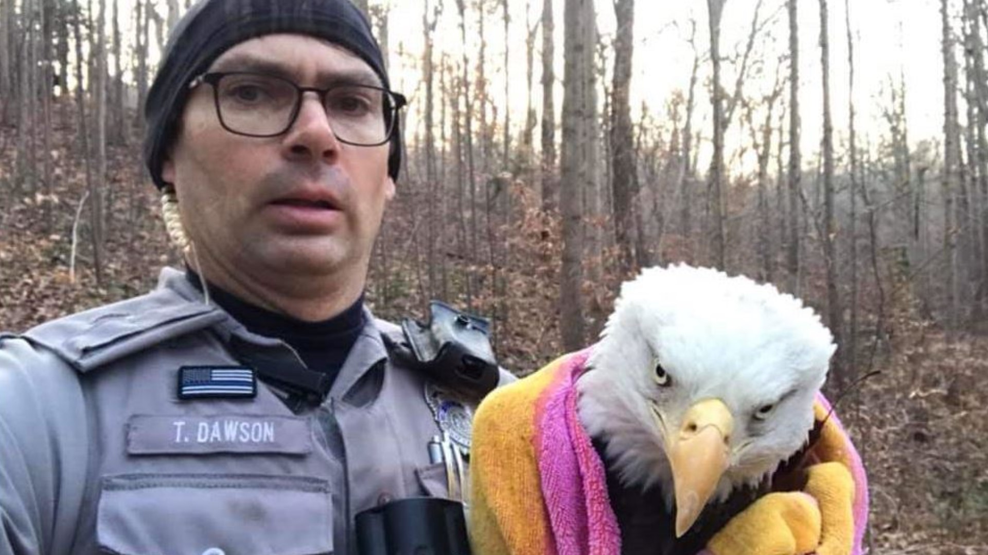 Fairfax County officer helps contain eagle | kiiitv.com