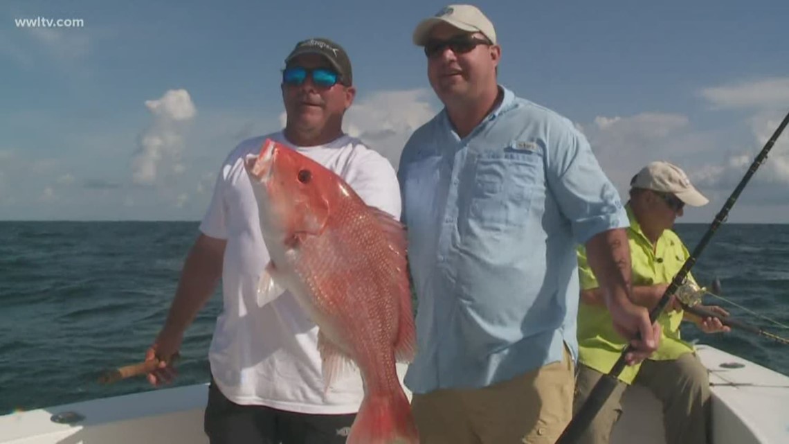 Millions more red snapper in Gulf of Mexico than expected | kiiitv.com